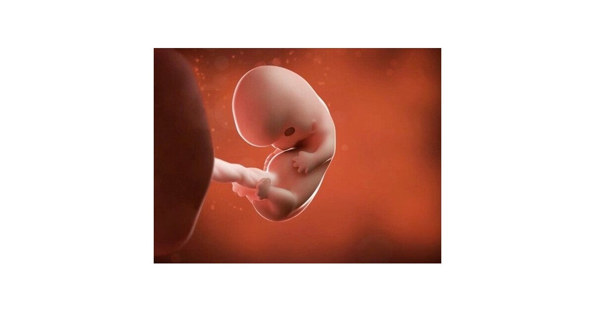 8 semanas de embarazo: cambios y desarollo | Nestlé® Materna