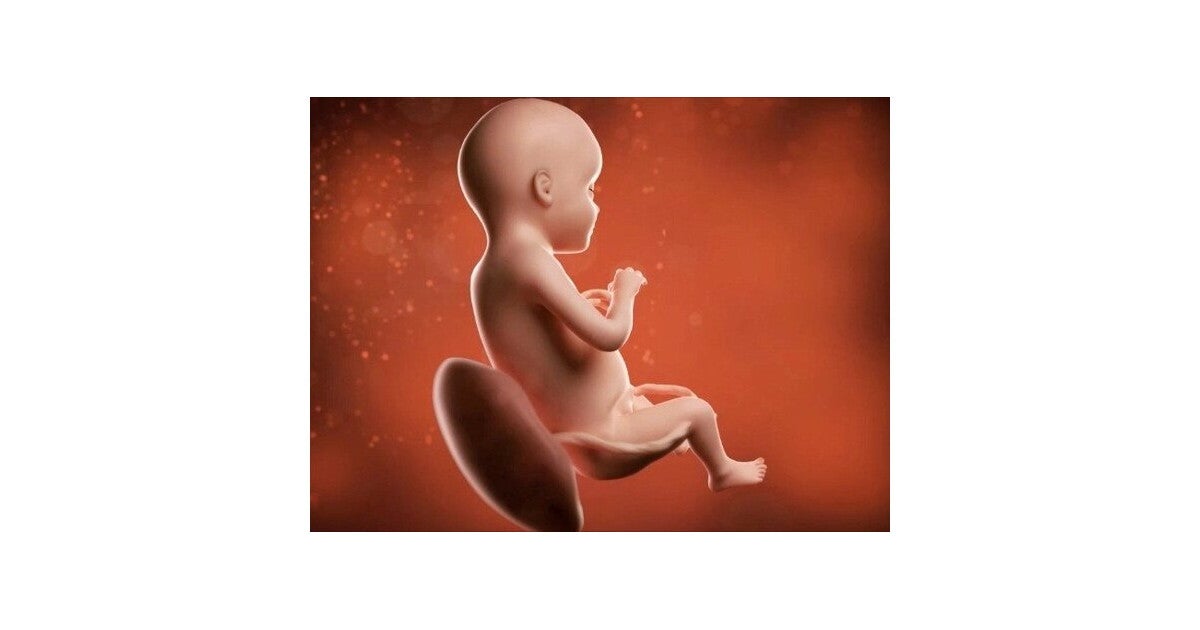 Mi embarazo de 28 semanas | Nestlé® Materna